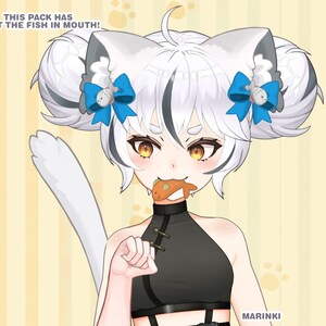Vtuber Asset | Food/fish in Mouth | Live2d Version - Etsy