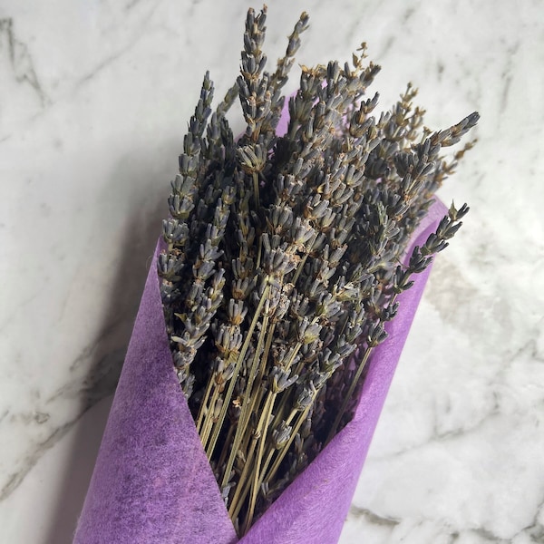 Real Lavender - Etsy