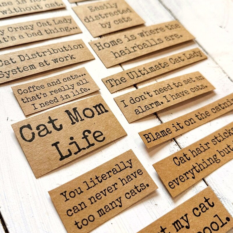 Cat Scrapbook - Etsy