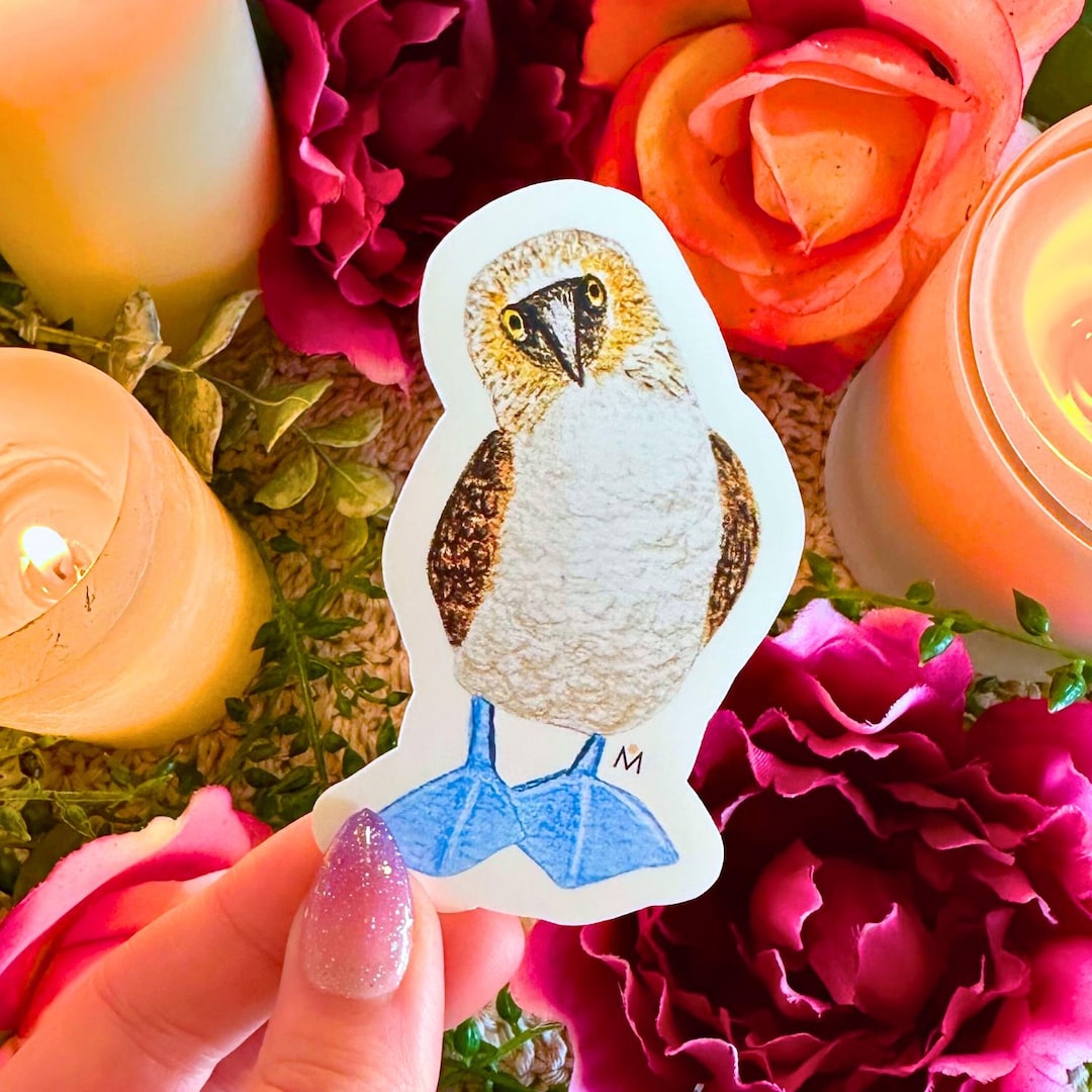Handmade & Hand-illustrated Funny Blue-footed Booby Sticker, Made With ...