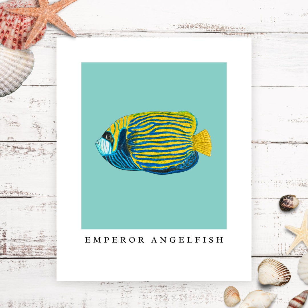 Handmade Emperor Angelfish Art Print: Modern Aquarium Decor - Etsy