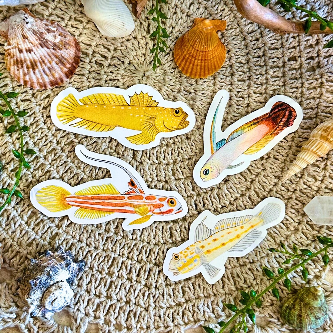 Handmade Aquarium Fish Sticker Pack, Set of 4 Glossy Waterproof Vinyl ...
