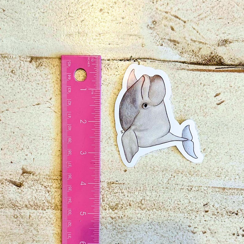Handmade Beluga Whale Sticker, Glossy Waterproof Vinyl - Etsy