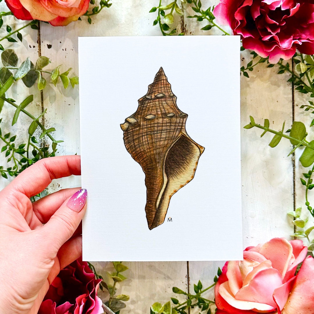 Handmade Seashell Art Print: Watercolor & Colored Pencil Illustration ...