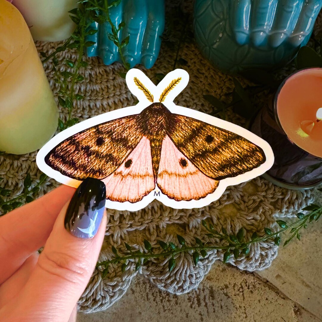 Handmade & Hand-illustrated Pandora Moth Sticker, Made With Glossy ...