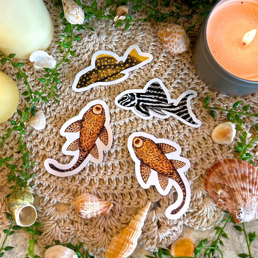 Handmade Pleco Sticker Pack, Set of 4 Glossy Waterproof Vinyl Stickers ...