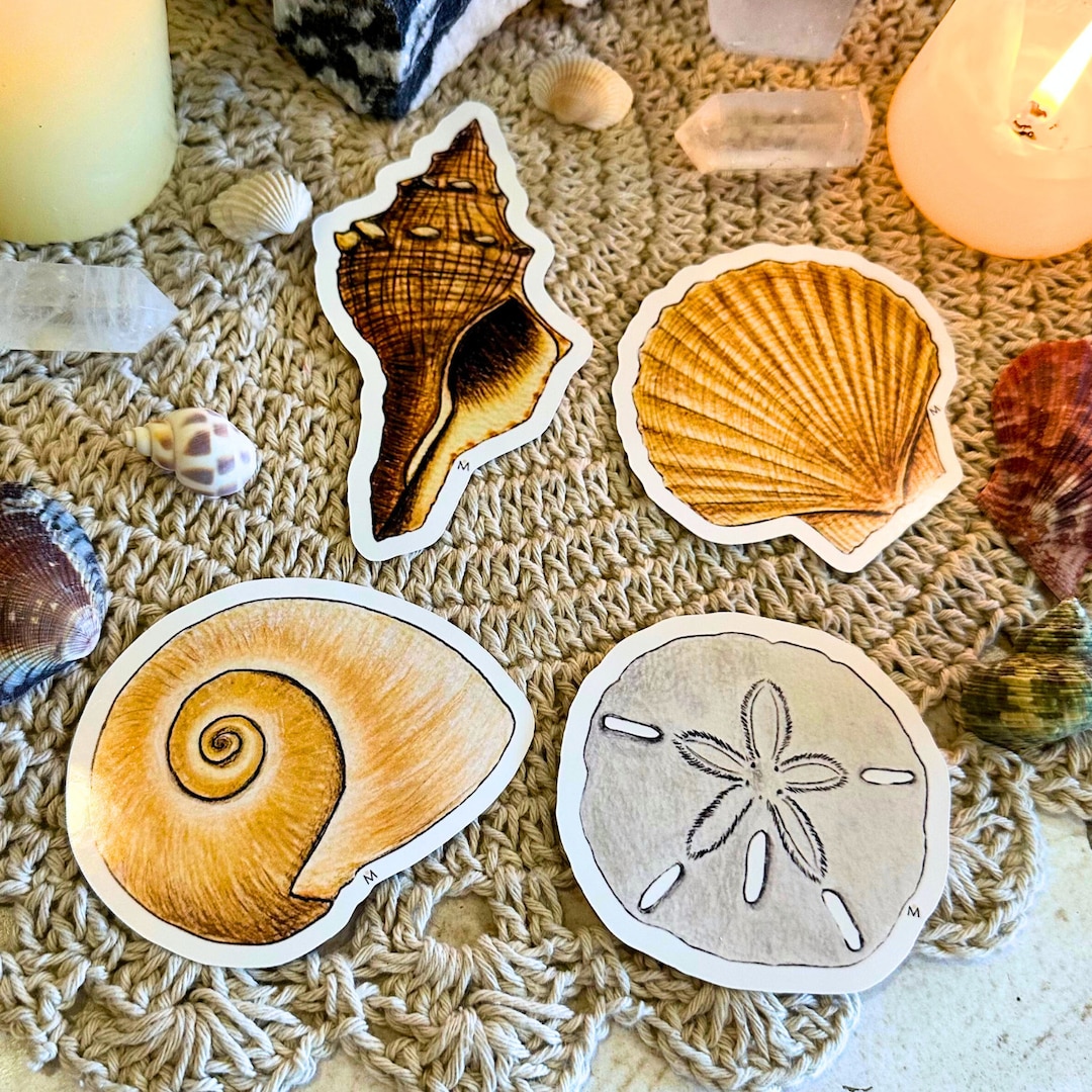Sea Shell Vinyl Sticker Pack - Handmade Waterproof Glossy Stickers ...