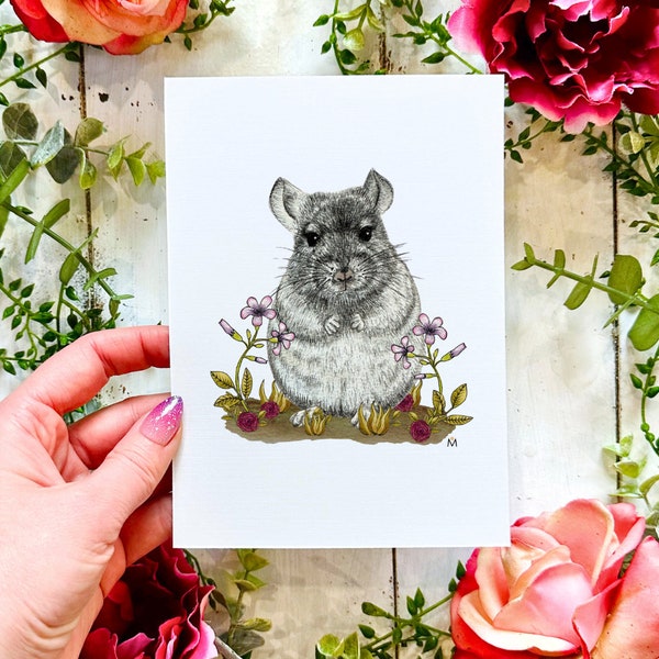 Chinchilla Art - Etsy