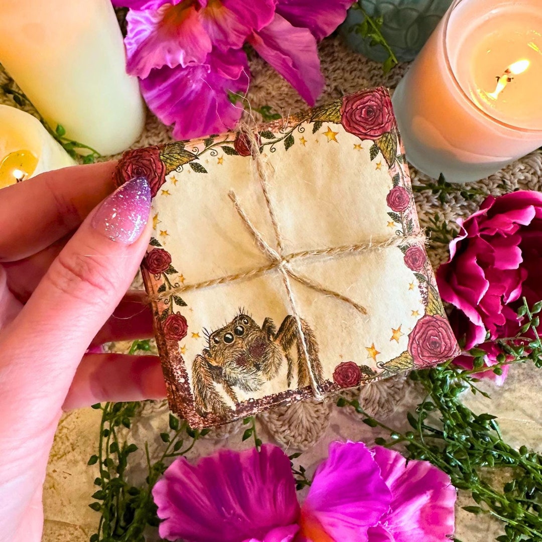 Handmade Cottagecore Jumping Spider Note Paper, 40-pack Coffee-dyed 3x3 ...