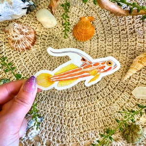 Handmade Aquarium Fish Sticker Pack, Set of 4 Glossy Waterproof Vinyl ...