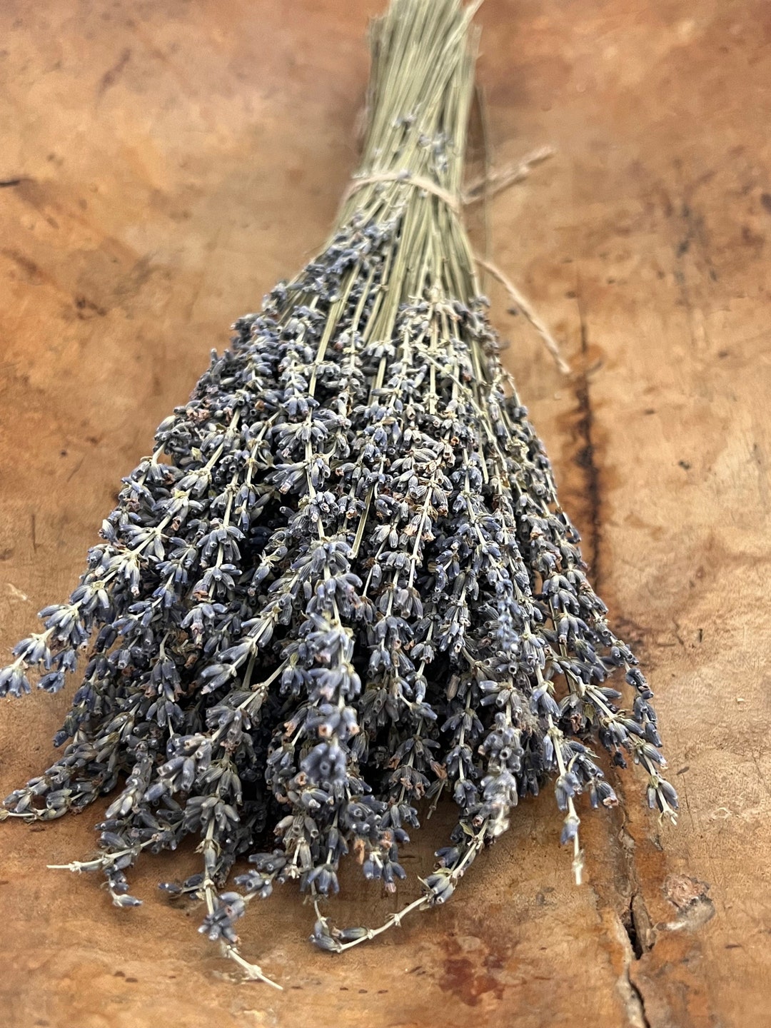 Dried Lavender Stems Dried Flowers Lavender Bunch English Lavender ...