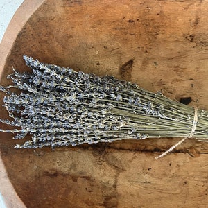 Dried Lavender Stems Dried Flowers Lavender Bunch English Lavender ...