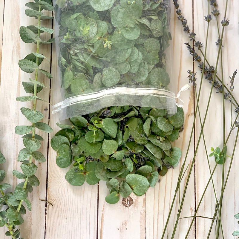 Sage Green Plant Pot - Etsy