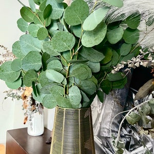 Fresh Silver Dollar Eucalyptus Bundle: Hanging Shower Decor - Etsy