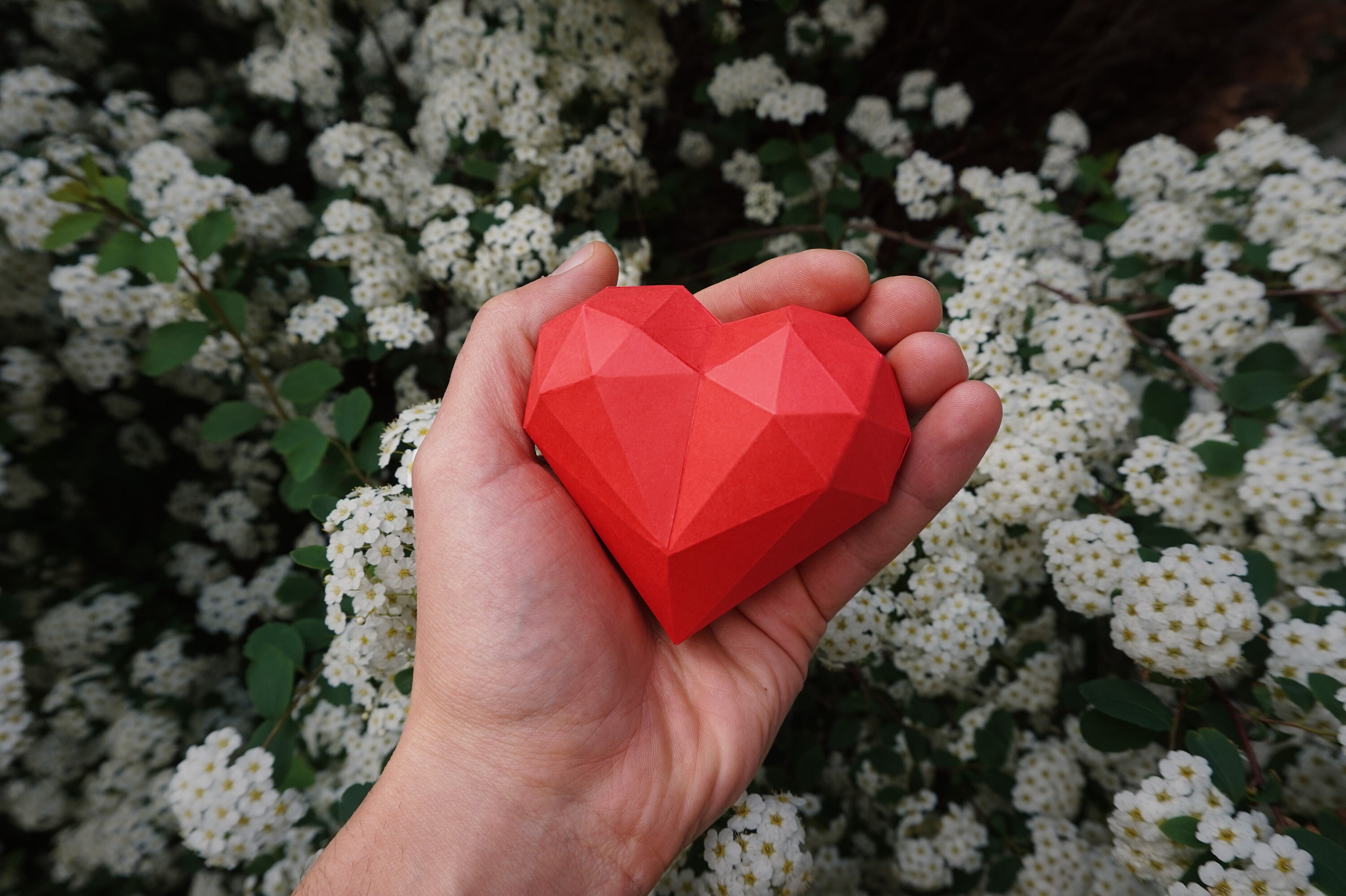 Heart Papercraft 3D DIY Love Gift for Her - Etsy