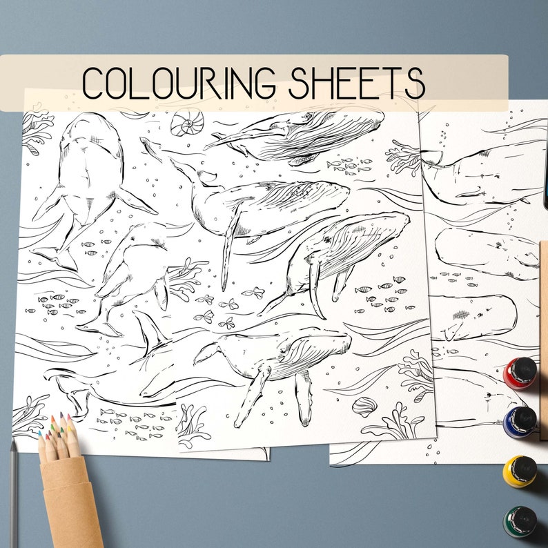 Colouring Sheets, Whales Sea Life Kids Activity Colouring Pages, Set of ...