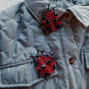 Miraculous Ladybug Brooches for Women, Unique Gifts for Her, Gardener ...