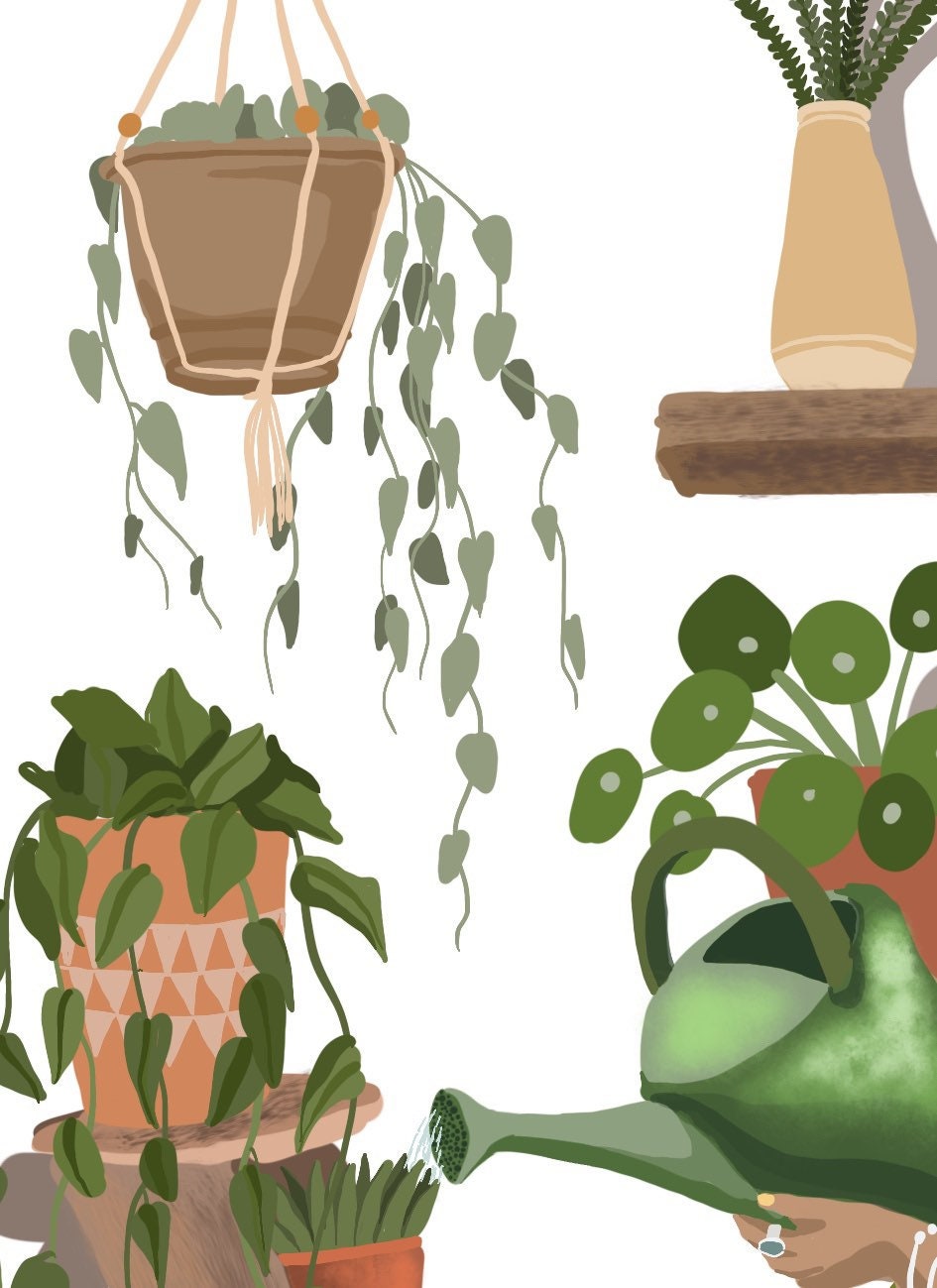 Plant Mania fine art print houseplant illustration | Etsy