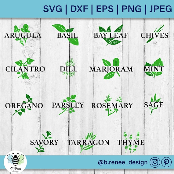 Herb Label SVG Bundle Printable Herb Labels Gardening SVG | Etsy
