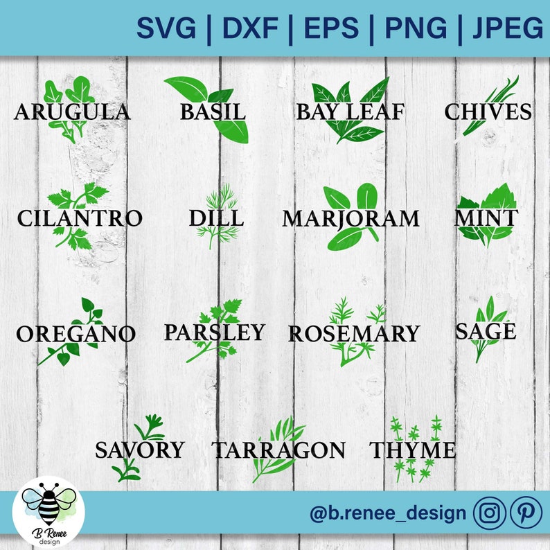 Garden Label SVG and PNG Bundle: Fruit, Vegetable, Herb Designs ...
