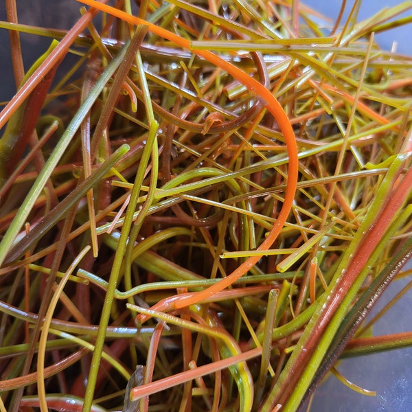 Abstract String Art - Etsy