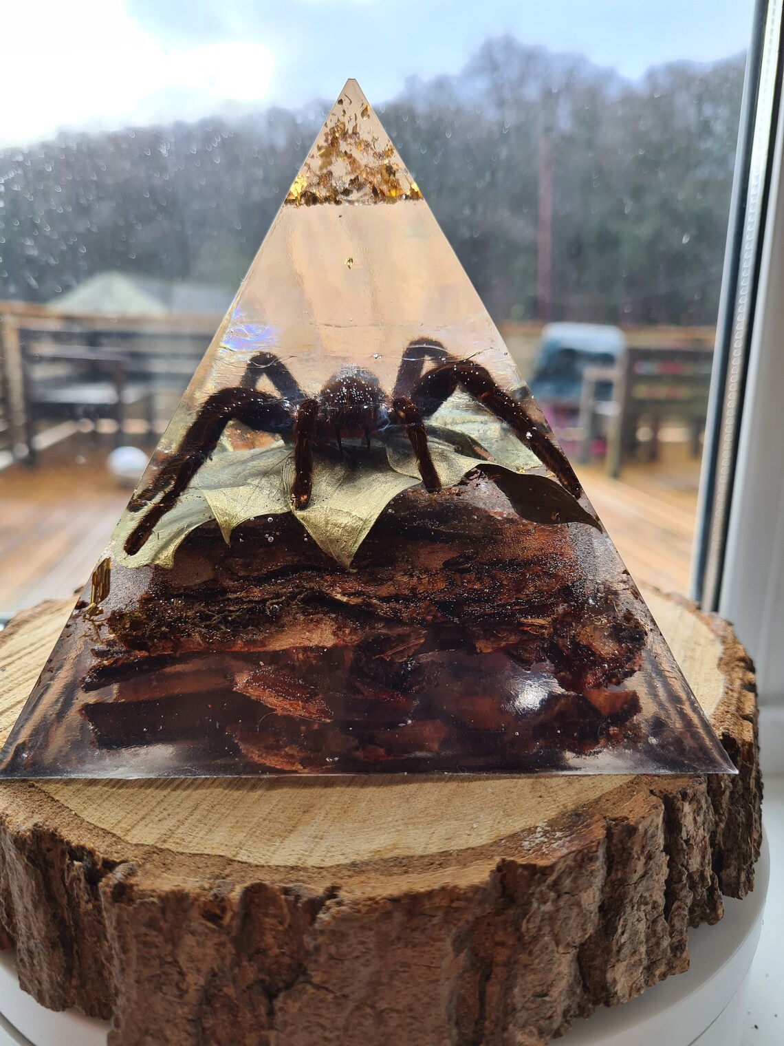 Real Tarantula Spider in Resin Pyramid Burrow Handmade | Etsy