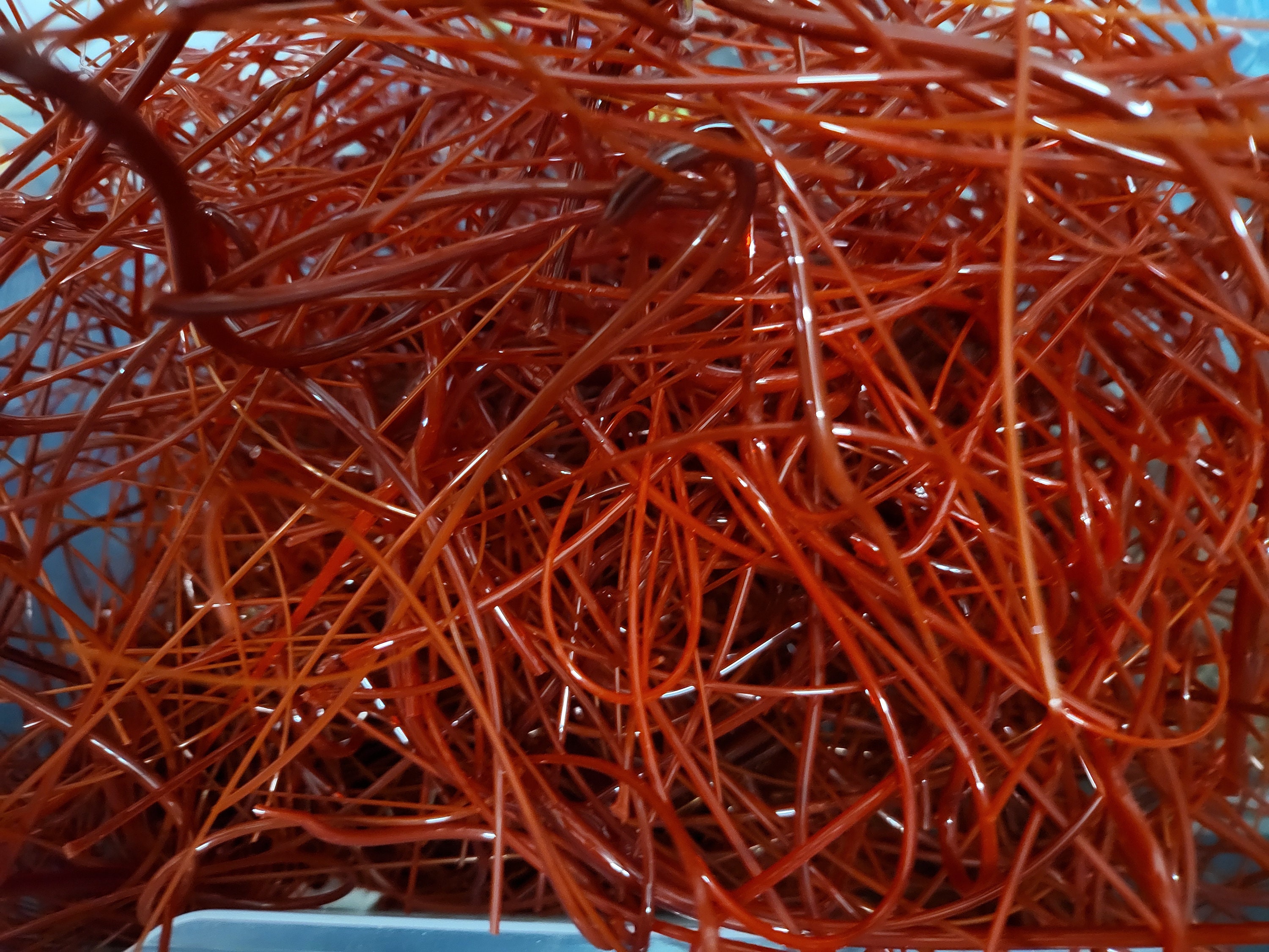 Vitrigraph Stringers Red Fused Glass Suplies Fusing Glass Strings 90COE ...