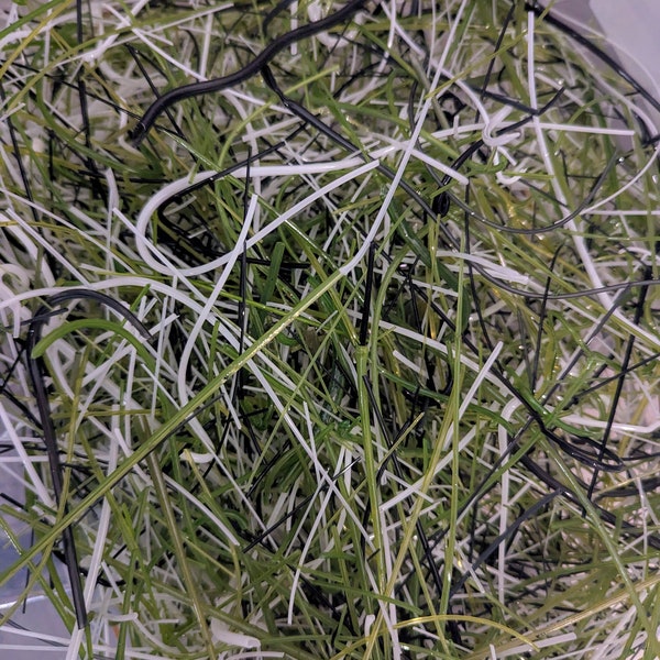 Vitrigraph Glass - Etsy