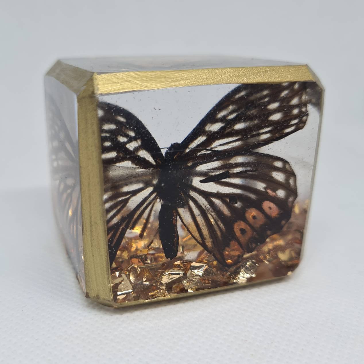 Real Butterfly Resin Encased Paper Weight Décor Ornament - Etsy