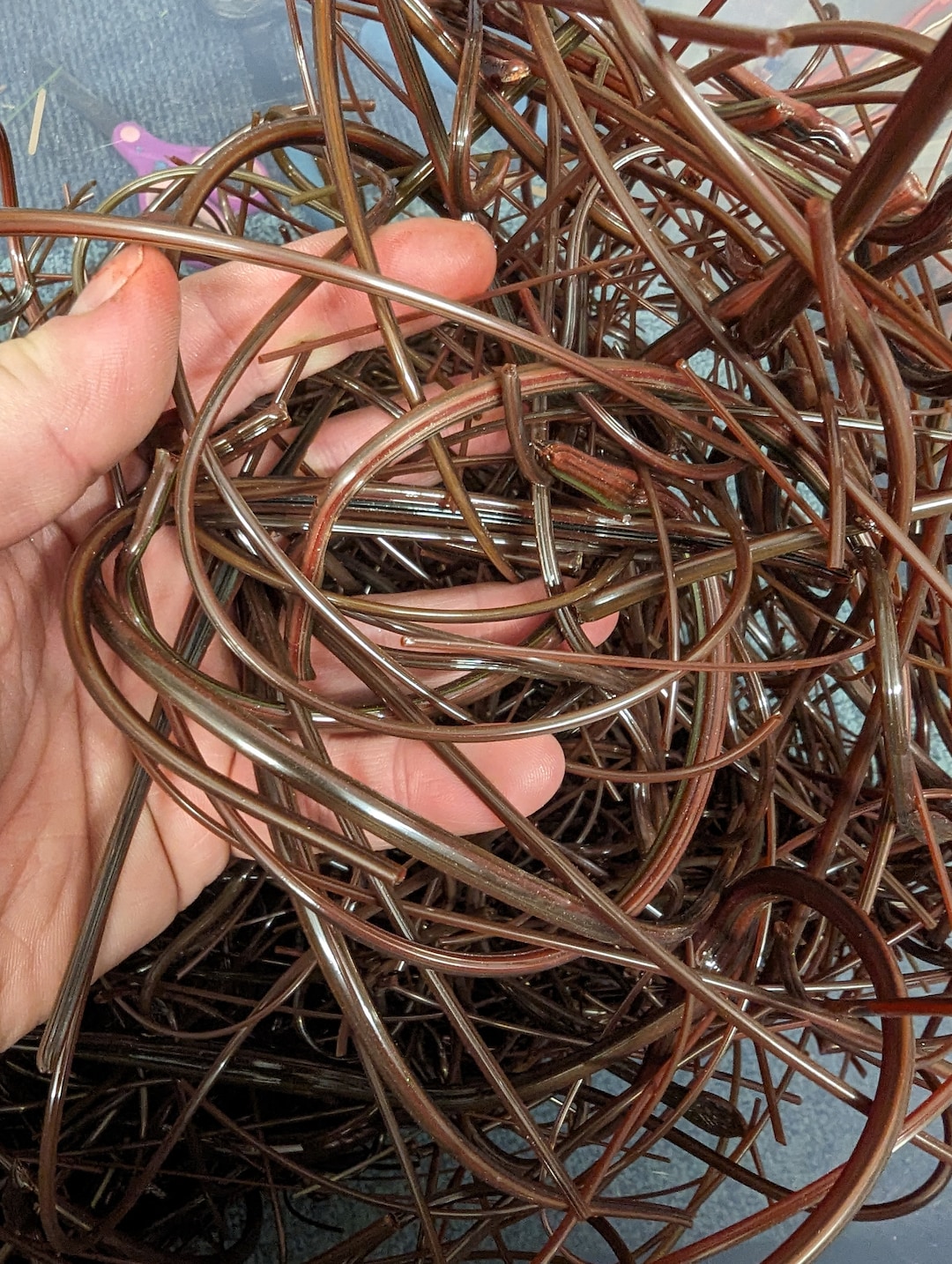 Vitrigraph Bullseye Stringers, Brown Reddish Autumn Shades Fused Glass ...