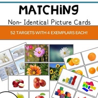 200+ Matching Cards! - Identical and Non-identical VB-MAPP Stimuli - Etsy