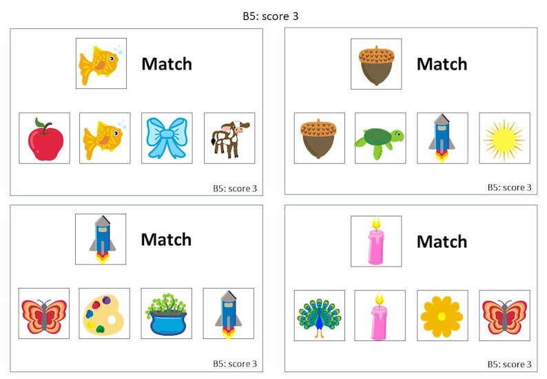 ABLLS-R Aligned B5 Matching Task Cards, Identical Pictures to Sample ...