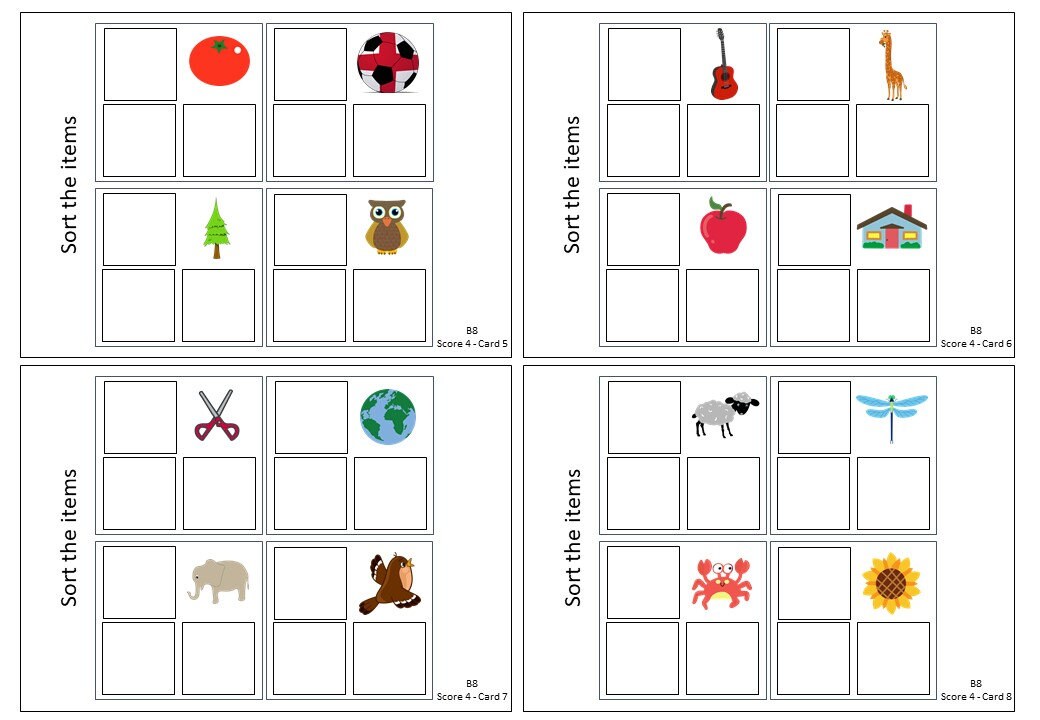 ABLLS-R Aligned B8 Sort Non Identical Items Task Cards, Pictures to ...