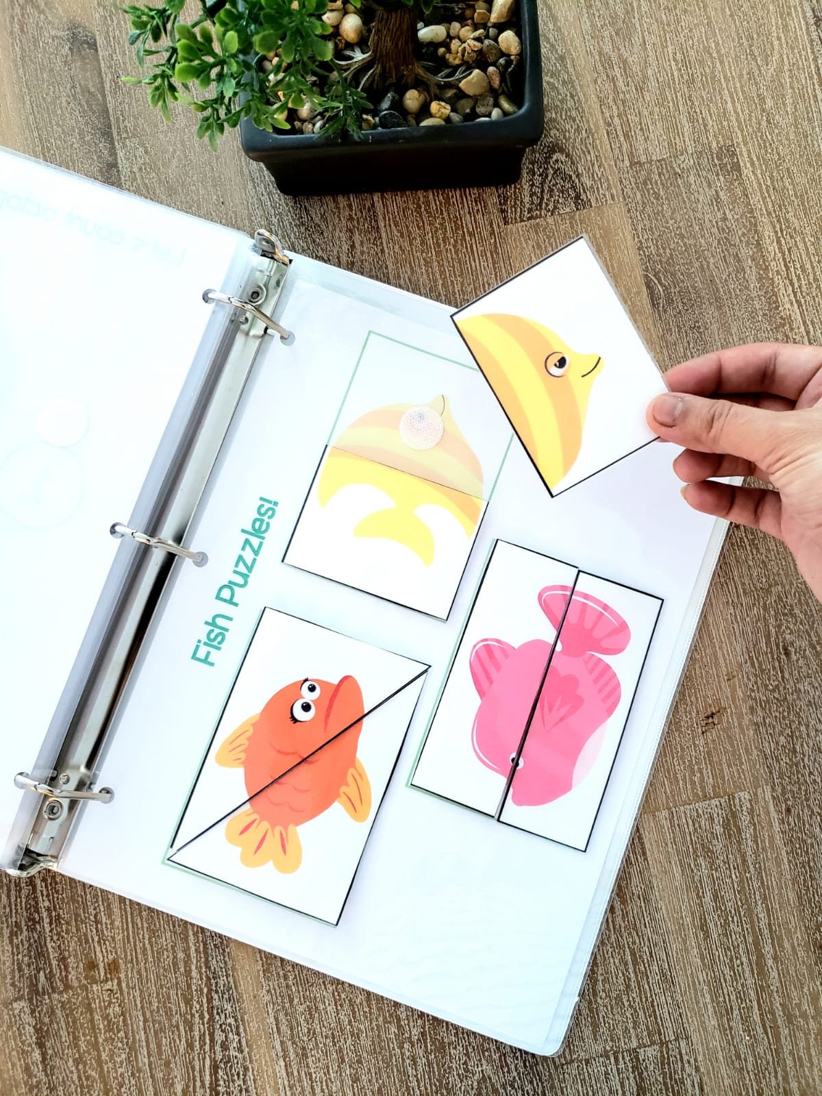 Sea Animal Printable Toddler Busy Book Sorting and Matching Learning ...