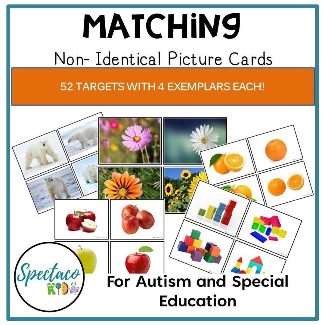 Non Identical Matching Picture Cards for Autism and Special Eduction ...