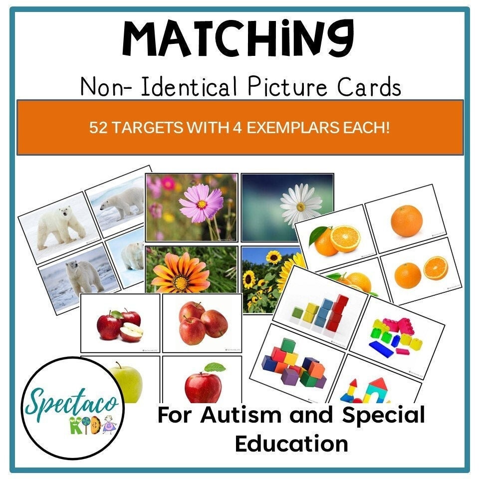 Non Identical Matching Picture Cards for Autism and Special Eduction ...