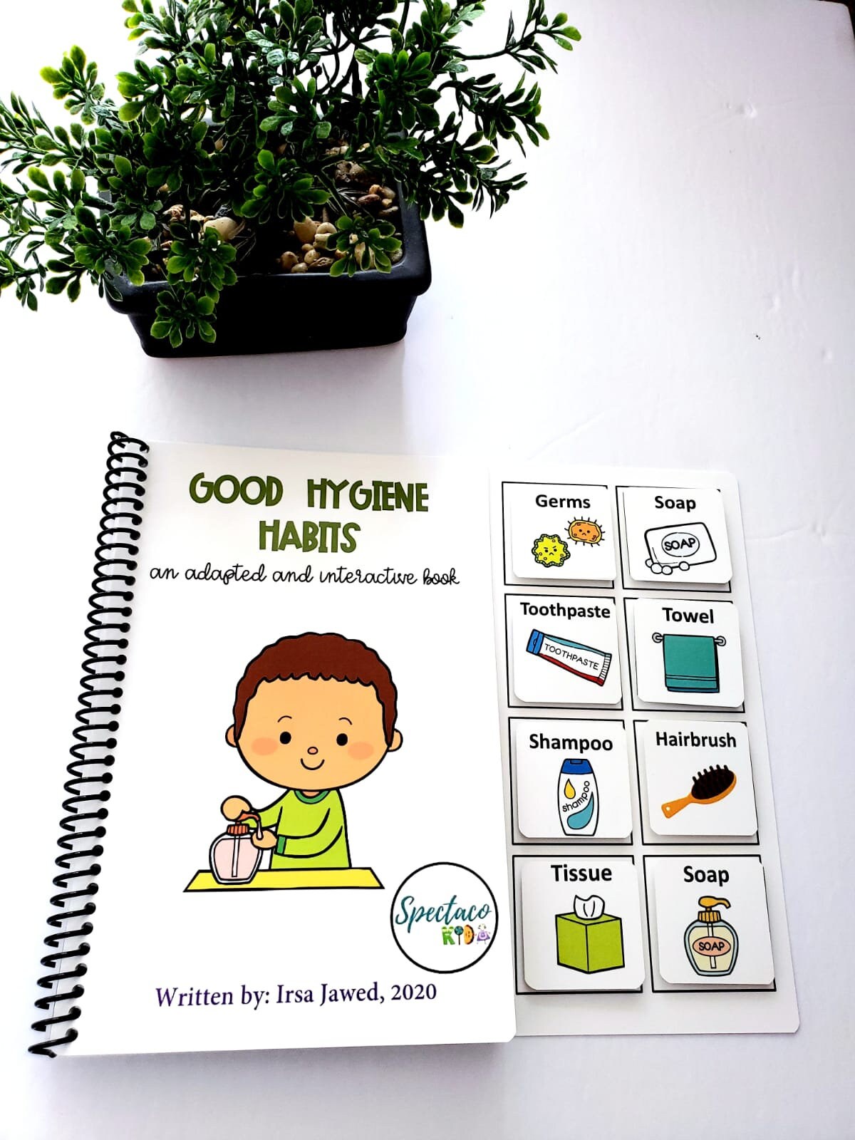 Hygiene Habits Adapted Book, Speech Therapy, Autism (digital Download ...