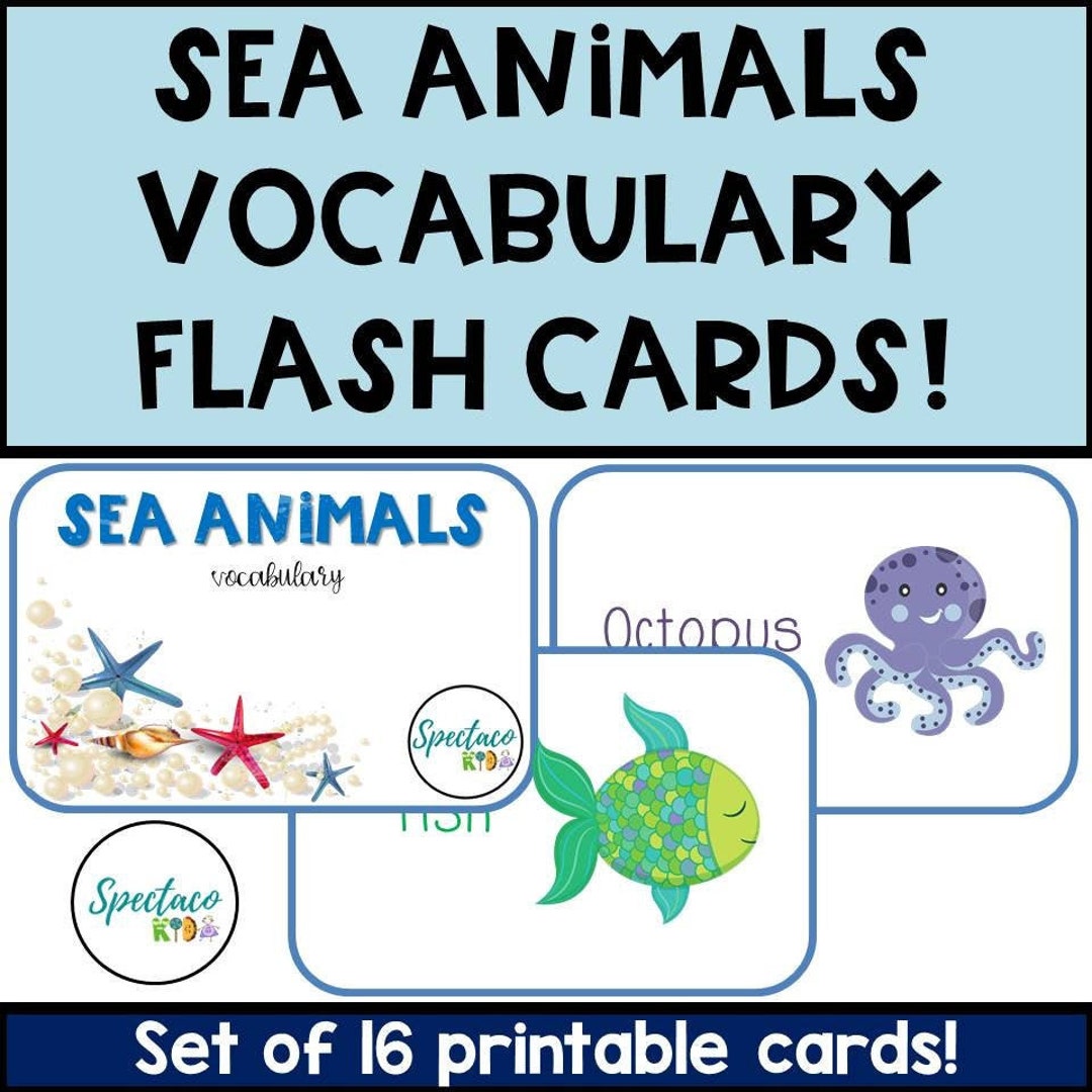 Sea Animals- Vocabulary Flash Cards- DIGITAL DOWNLOAD - Etsy