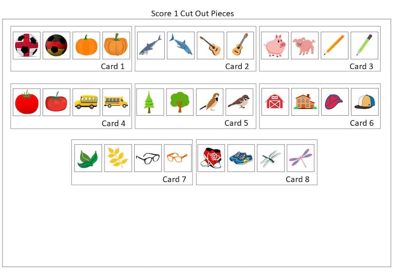 ABLLS-R Aligned B8 Sort Non Identical Items Task Cards | Etsy