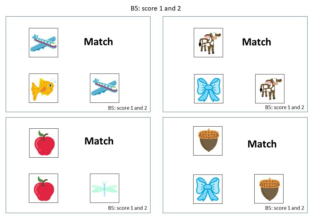 ABLLS-R Aligned B5 Matching Task Cards, Identical Pictures to Sample ...