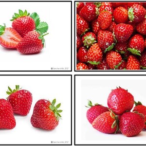 Non Identical Matching Picture Cards for Autism and Special Eduction ...