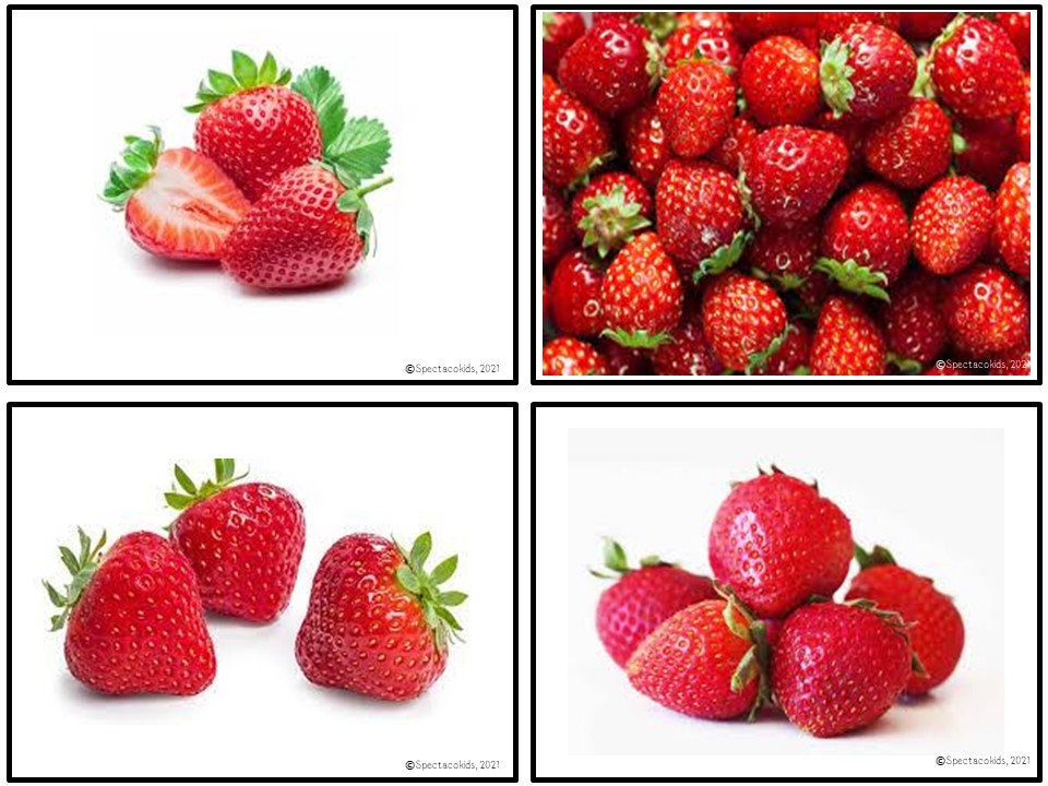 Non Identical Matching Picture Cards for Autism and Special Eduction ...