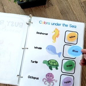 Sea Animal Printable Toddler Busy Book | Sorting and Matching ...