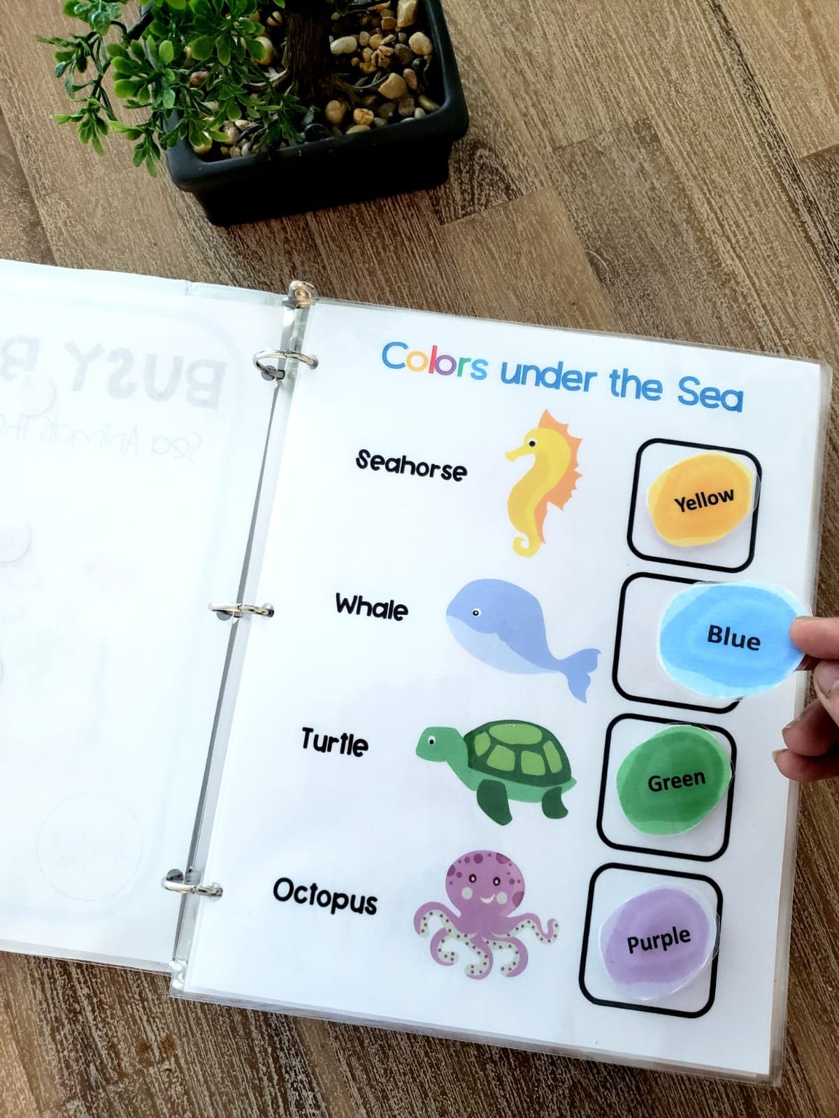 Sea Animal Printable Toddler Busy Book | Sorting and Matching ...