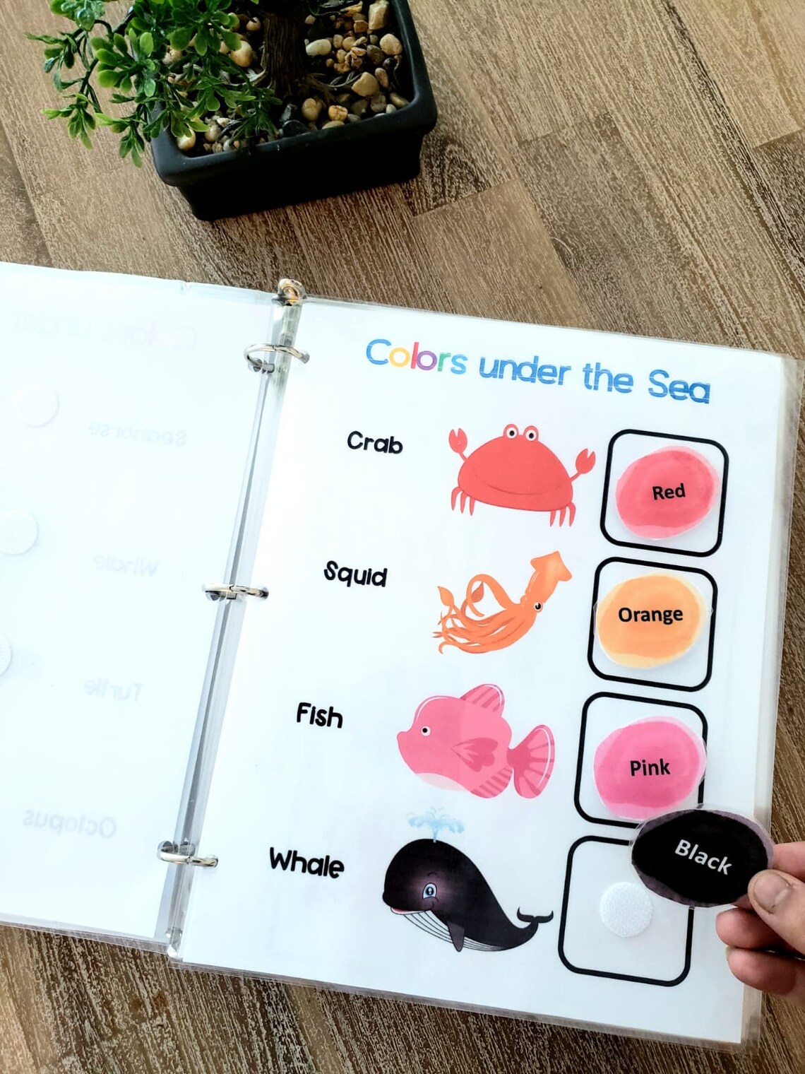 Sea Animal Printable Toddler Busy Book Sorting and Matching | Etsy