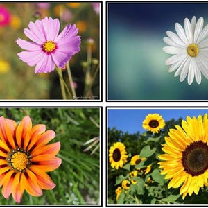 Non Identical Matching Picture Cards for Autism and Special Eduction ...