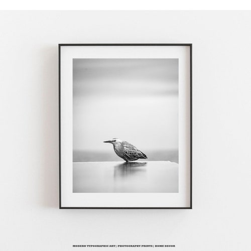 Modern Abstract Art Bird Print Print Digital Download White - Etsy