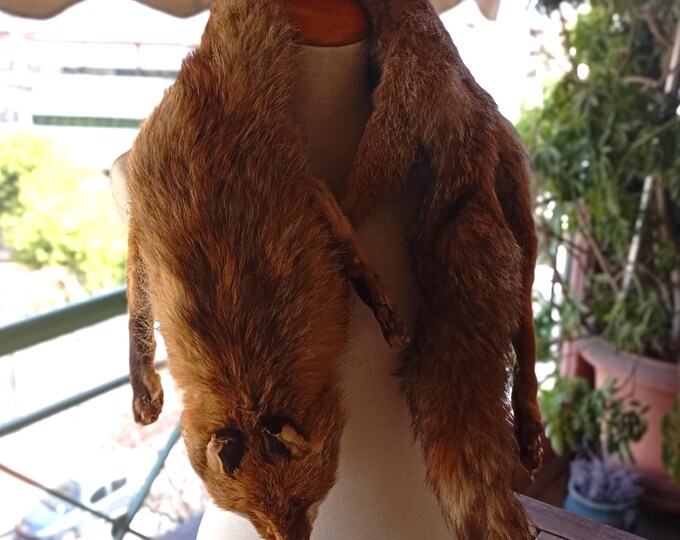 Genuine Whole Fox Skin Real Animal Pelt Fox Fur Authentic From Greece ...