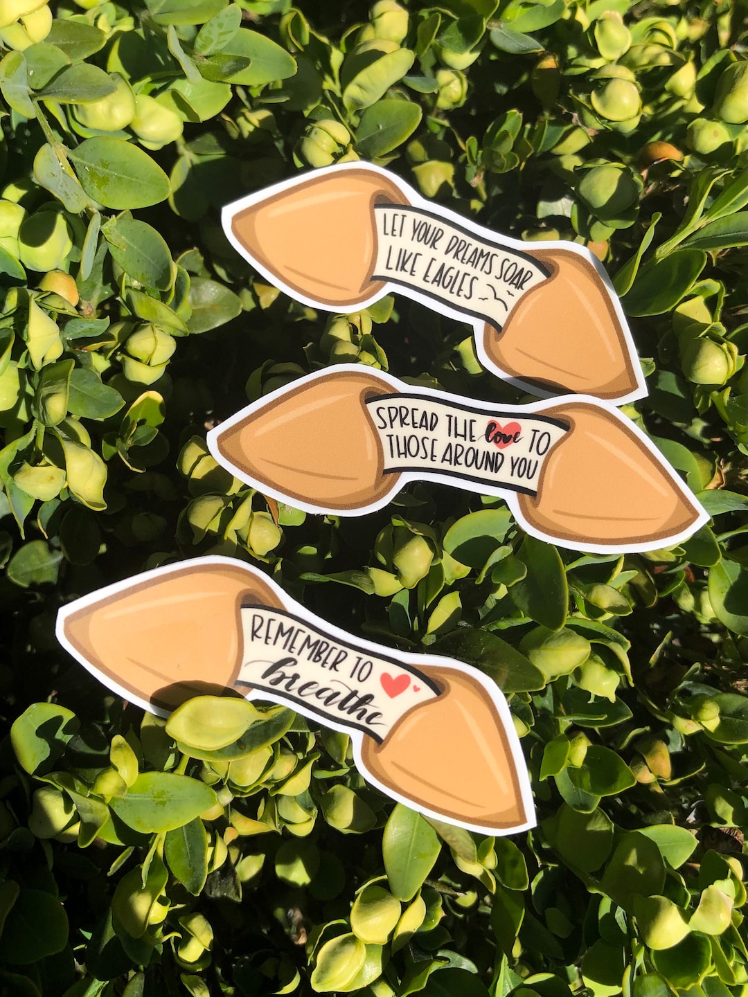 Fortune Cookie - Bundle - Etsy