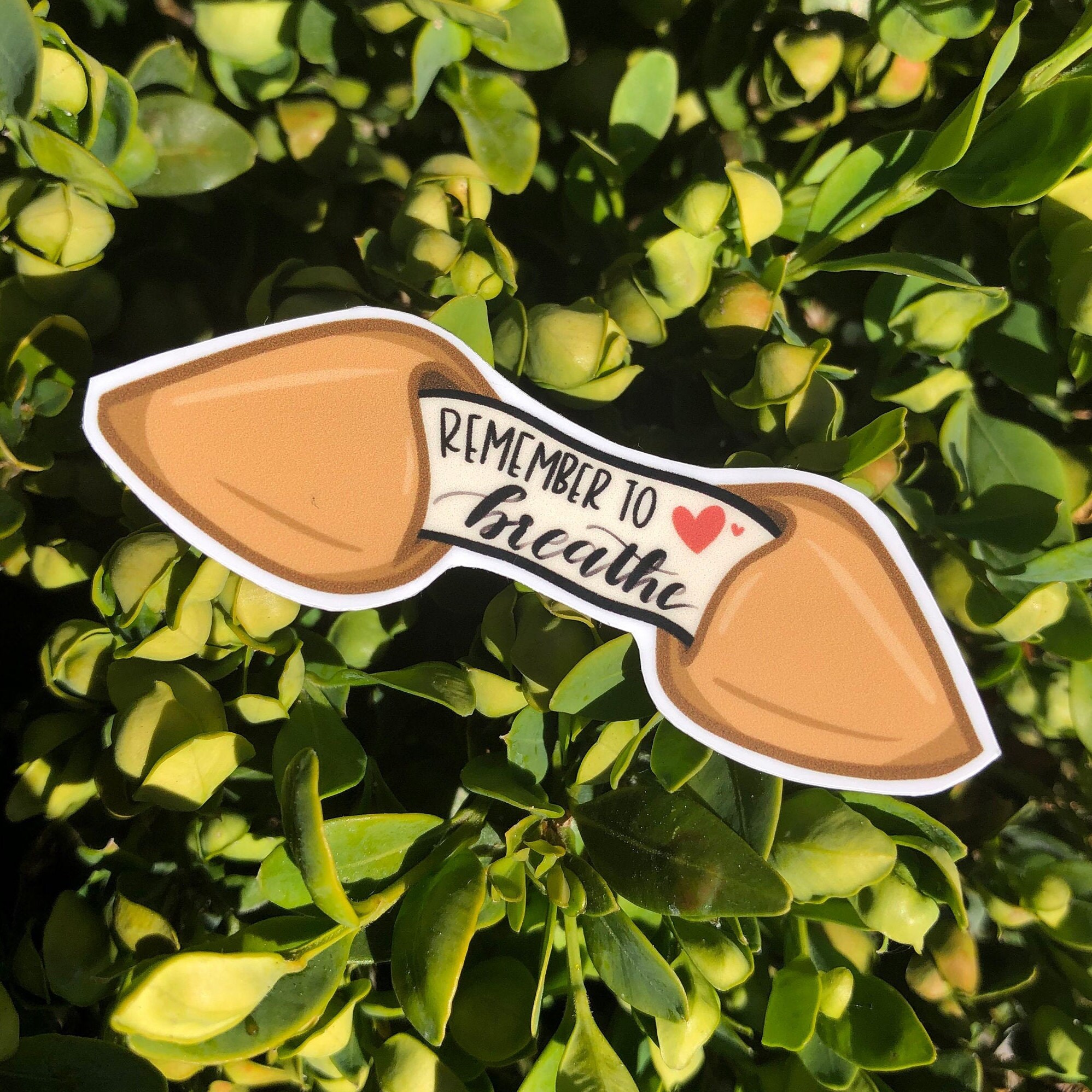 Fortune Cookie - Bundle - Etsy